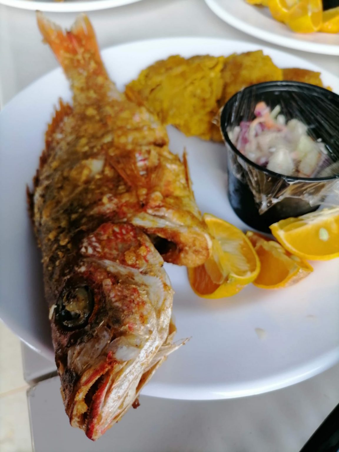 Mogo Mogo Island Tour: Your Perfect Tropical Escape | Panama Whale Watching